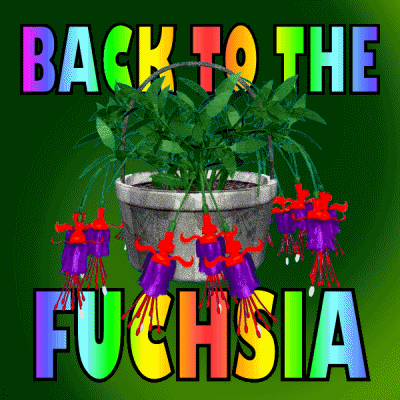Fuchsia Flowers GIFs - Get the best GIF on GIPHY