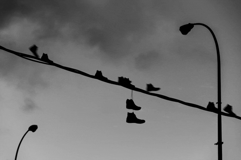 Hang-wire GIFs - Get the best GIF on GIPHY