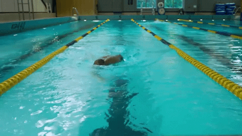 Fitness Swimming GIF by Western Illinois University - Find & Share on GIPHY