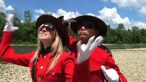 Canadian GIF by gunnarolla - Find & Share on GIPHY