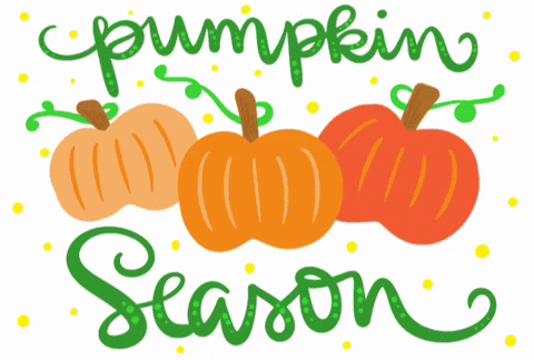 Fall Autumn Thanksgiving Season GIFs on GIPHY - Be Animated