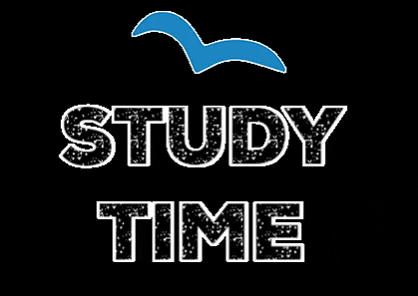 Studytime GIFs - Get the best GIF on GIPHY