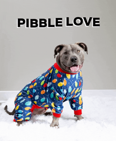 Pittie Clothing GIF - Find & Share on GIPHY