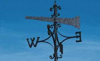 Wind Vane GIFs - Find & Share on GIPHY
