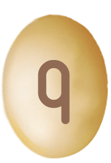 Chocolate Q Sticker by Conguitos for iOS & Android | GIPHY
