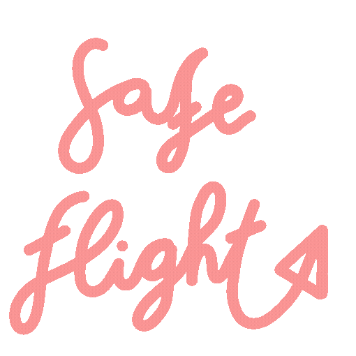 Have A Safe Flight Gif
