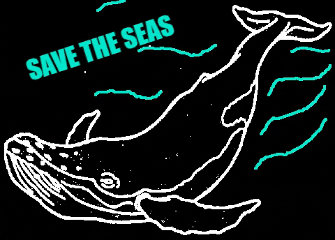 Save-the-sea GIFs - Get the best GIF on GIPHY