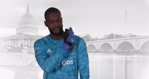 Bill Hamid GIF by D.C. United - Find & Share on GIPHY
