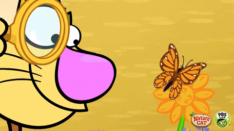 Butterfly Garden GIFs - Get the best GIF on GIPHY