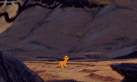 Yeeting Simba