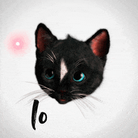 Laser Pointer Cat Gif