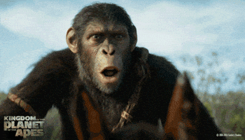Kingdom of the Planet of the Apes GIFs on GIPHY - Be Animated