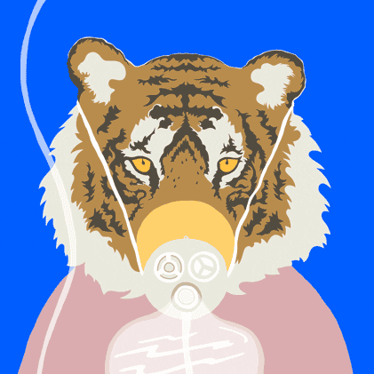 Tiger-mask GIFs - Get the best GIF on GIPHY