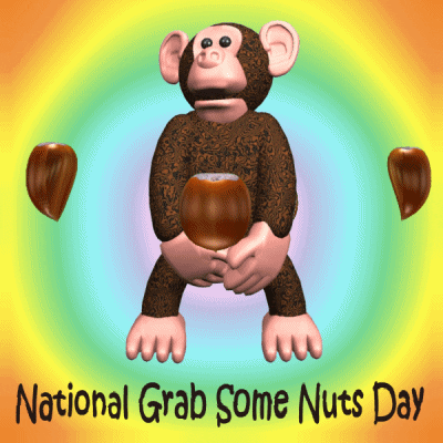 National Grab Some Nuts Day GIFs - Get the best GIF on GIPHY