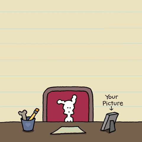 Dog-picture GIFs - Get the best GIF on GIPHY