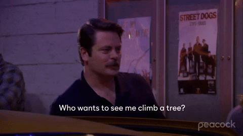 Ron Swanson Gun Gif