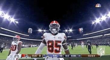 Top 5 GIFs from Week 12! by NFL | GIPHY