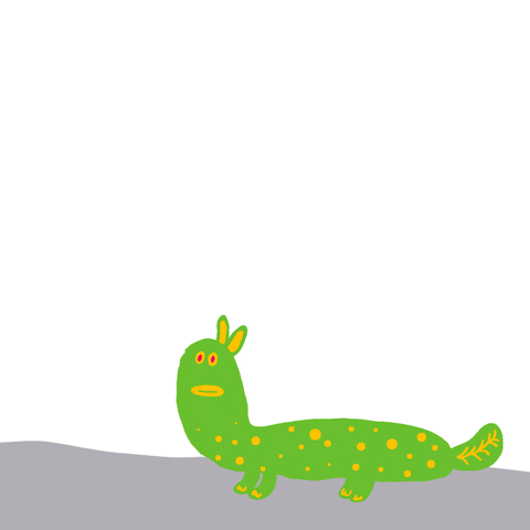 Wa Wa Wa GIFs - Get the best GIF on GIPHY