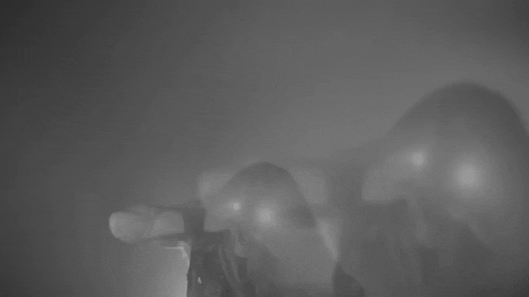 Heavy Metal GIF by Machine Head - Find & Share on GIPHY