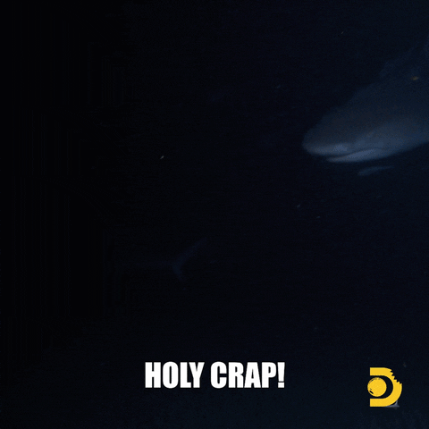 Mothersharker GIFs - Get the best GIF on GIPHY
