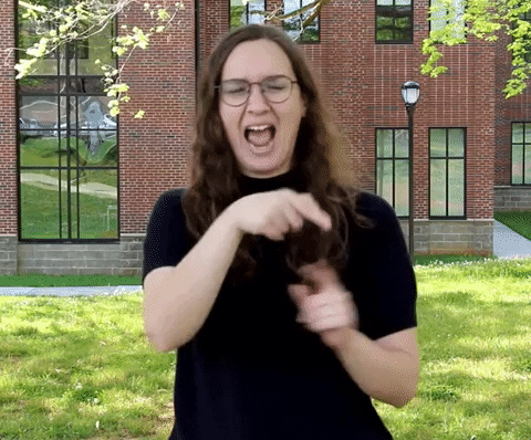 Asl High Expectations GIF - Find & Share on GIPHY