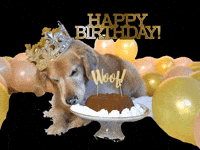 Birthday Cake Dog Gif