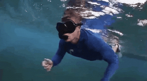 Urban Dictionary: Snorkelling