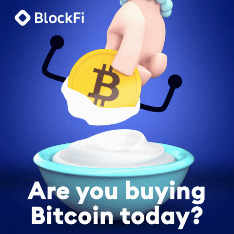 Bitcoin-price-today GIFs - Get the best GIF on GIPHY