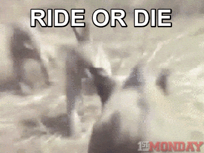 Monkey Rides Pig GIFs - Get the best GIF on GIPHY