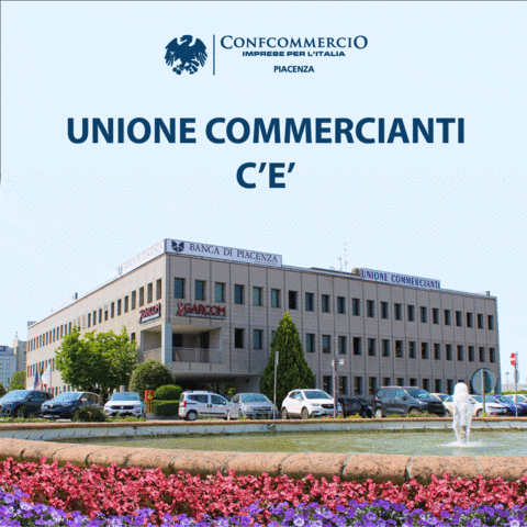 Confco GIFs - Find & Share on GIPHY