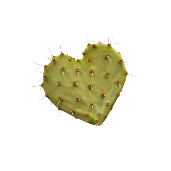 Heart Cactus Sticker by 150UP for iOS & Android | GIPHY