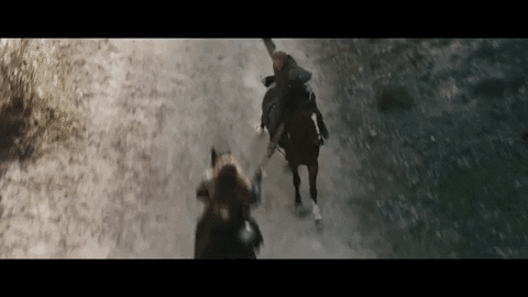 Horse Attack GIF by VVS FILMS - Find & Share on GIPHY