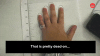 Hand-size GIFs - Get the best GIF on GIPHY