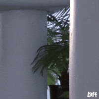 Looking Around Suspicious Gif