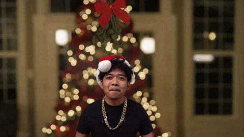 Holiday-helper GIFs - Get the best GIF on GIPHY