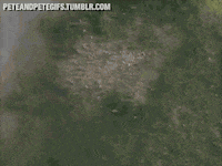 Grounded For Life Gif