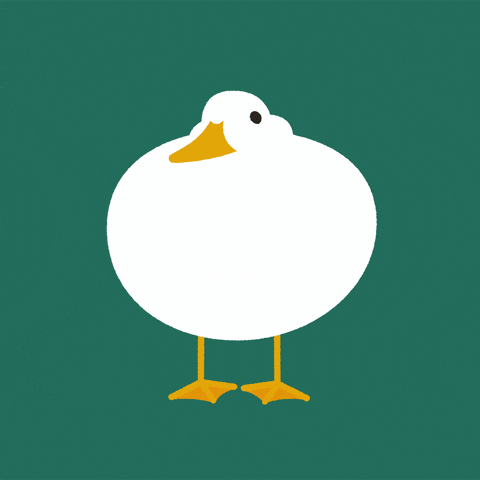Dancing-duck GIFs - Get the best GIF on GIPHY