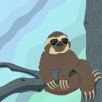 Interesting Sloth Gif