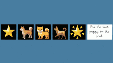 Positively Pets GIFs on GIPHY - Be Animated