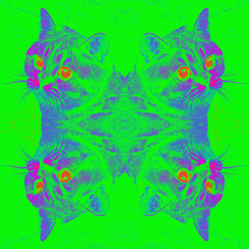 Art Looking GIF by hoppip - Find & Share on GIPHY