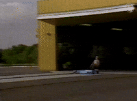 Hitting-a-wall GIFs - Get the best GIF on GIPHY