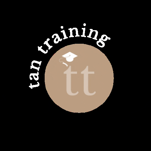toronto tans & tan training GIFs on GIPHY - Be Animated