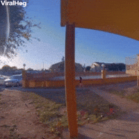 Hard-fall GIFs - Get the best GIF on GIPHY