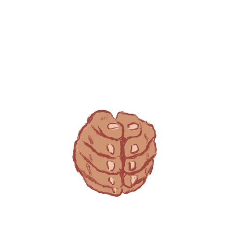 World Soil Day GIFs on GIPHY - Be Animated