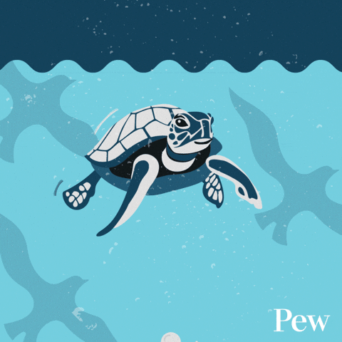 The Pew Charitable Trusts GIFs on GIPHY - Be Animated