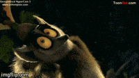 Madagascar King Julian Gif