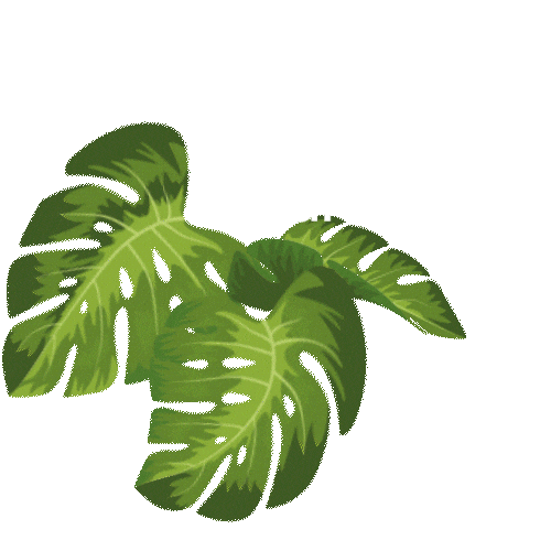 Natura Ekos GIFs on GIPHY - Be Animated