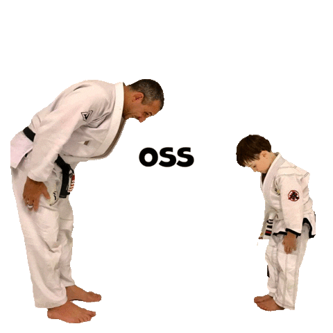 Alliance Jiu-Jitsu Association GIFs on GIPHY - Be Animated