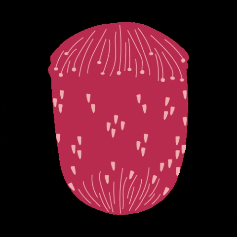 Flora And Fauna GIFs - Get the best GIF on GIPHY