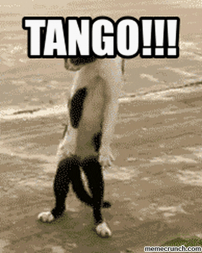 Tango GIFs - Get the best GIF on GIPHY